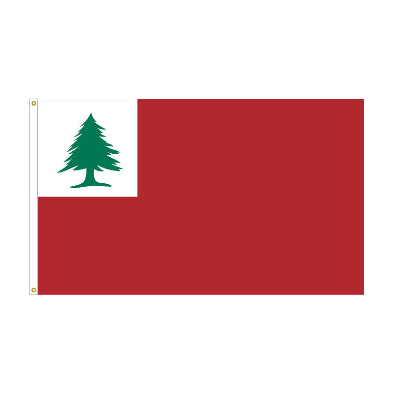 3' x 5' Continental Flag - Nylon – National Flag & Pole, LLC